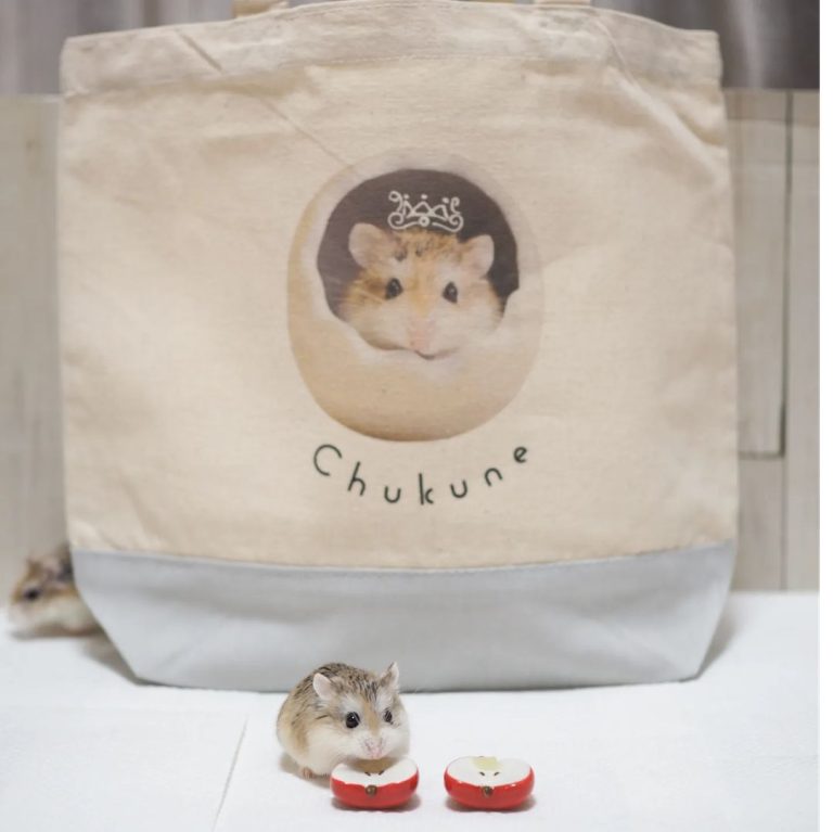 注文商品のご紹介 – pan_robo 様｜BLOG｜株式会社ジマール