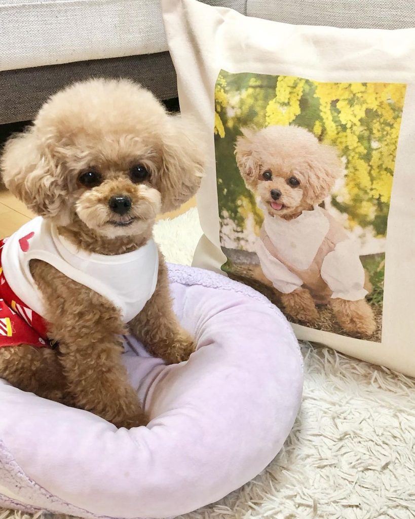 注文商品のご紹介 – lily__sta 様｜BLOG｜株式会社ジマール